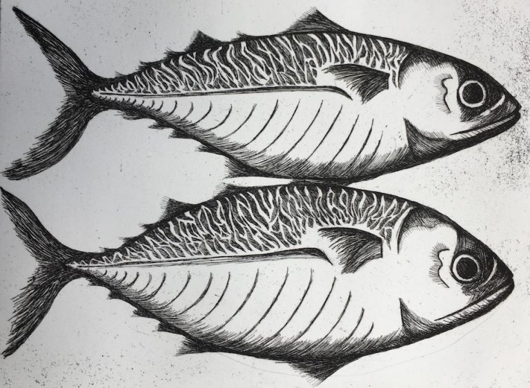 Mackerel etching and aquatint | original fish art | ArtifyAlice